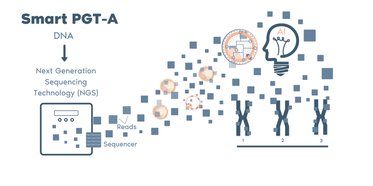 PGT-A Preimplantation Genetic Testing for Aneuploidies