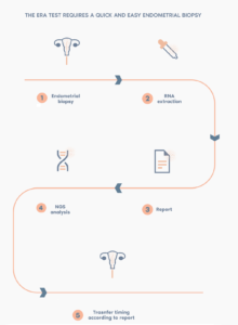 ERA® Endometrial Receptivity Analysis | Maximize pregnancy chances