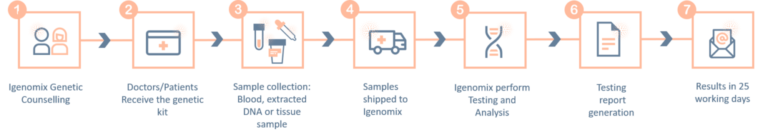 WES TRIO - International