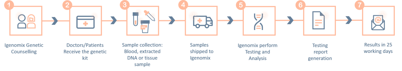 WES TRIO - International